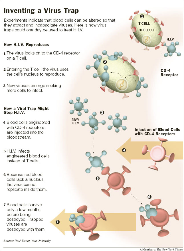 Virus Traps - The Dennehy Lab